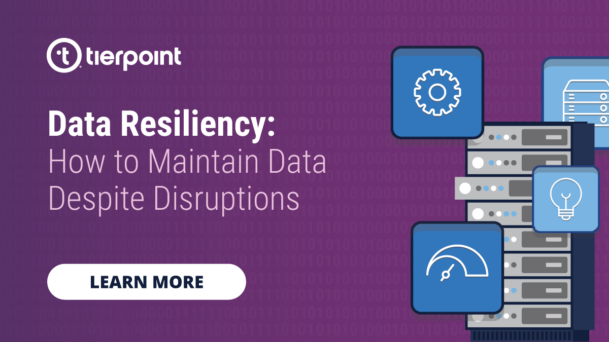 Data Resiliency: How to Maintain Data Despite Disruptions